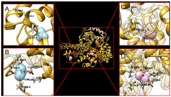 Effects of Trimethylamine and Trimethylamine Oxide on Human Serum ...