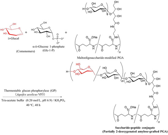 Synthesis of Hydrophobic Poly(γ-Glutamic Acid) Derivatives by Enzymatic ...
