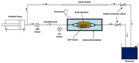 In Vitro Evaluation of a Non-Invasive Photoplethysmography Based ...
