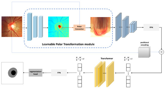 Polarformer: Optic Disc and Cup Segmentation Using a Hybrid CNN-Transformer and Polar Transformation