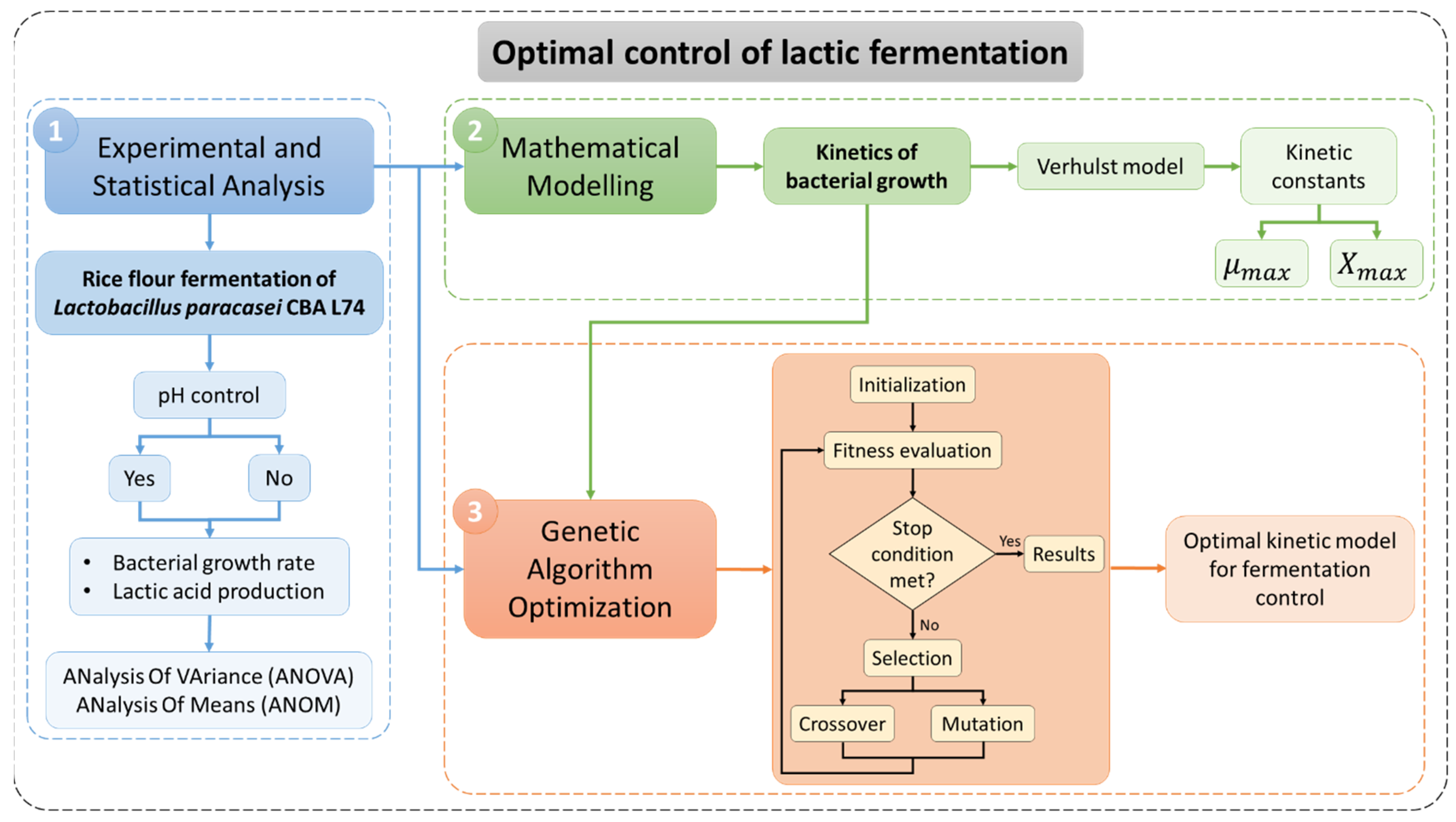 Genetic Algorithms for Optimal Control of Lactic Fermentation: Modelling the Lactobacillus ...
