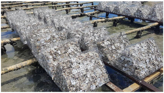 Shell Waste Management and Utilization: Mitigating Organic Pollution ...