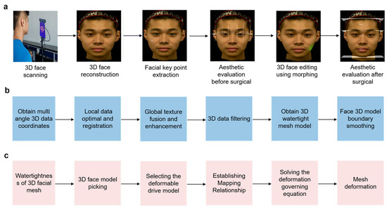 3D Facial Plastic Surgery Simulation: Based on the Structured Light