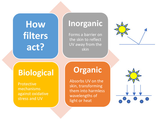 Toxicity of Different Chemical Components in Sun Cream Filters and ...