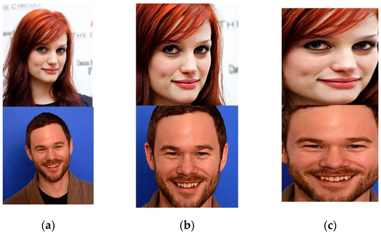 Deep Learning Mask Face Recognition with Annealing Mechanism