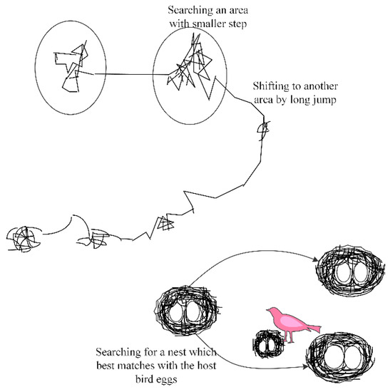 Applied Sciences | Free Full-Text | Cooperative Content Caching Framework Using Cuckoo Search ...