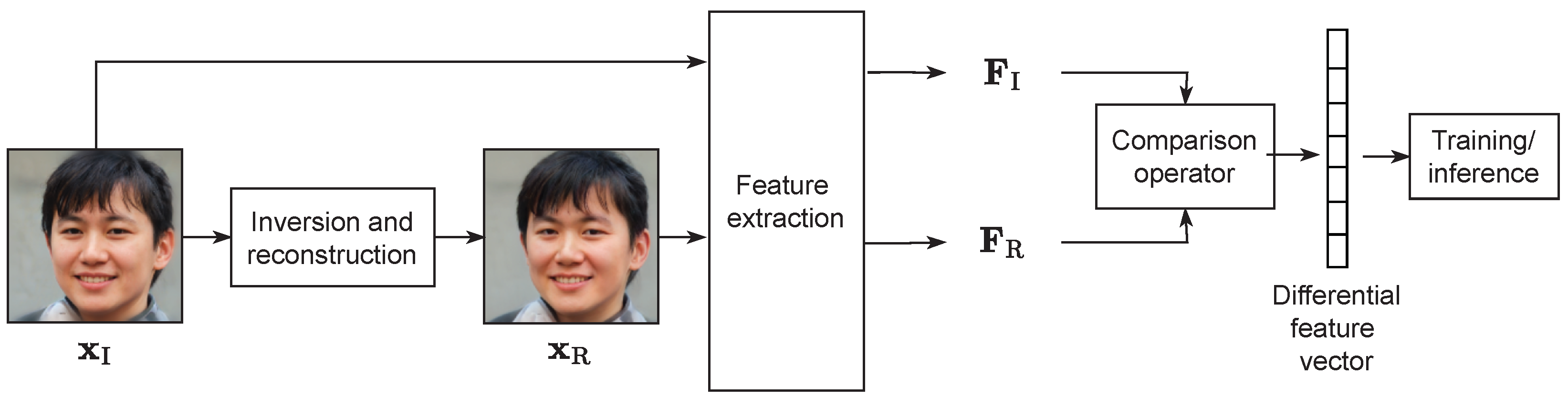 Identifying Synthetic Faces through GAN Inversion and Biometric Traits Analysis