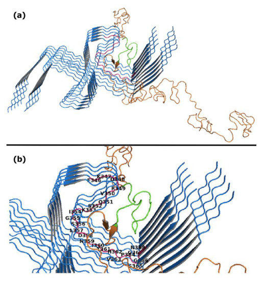 Probing the Interactions of LRP1 Ectodomain-Derived Peptides with ...