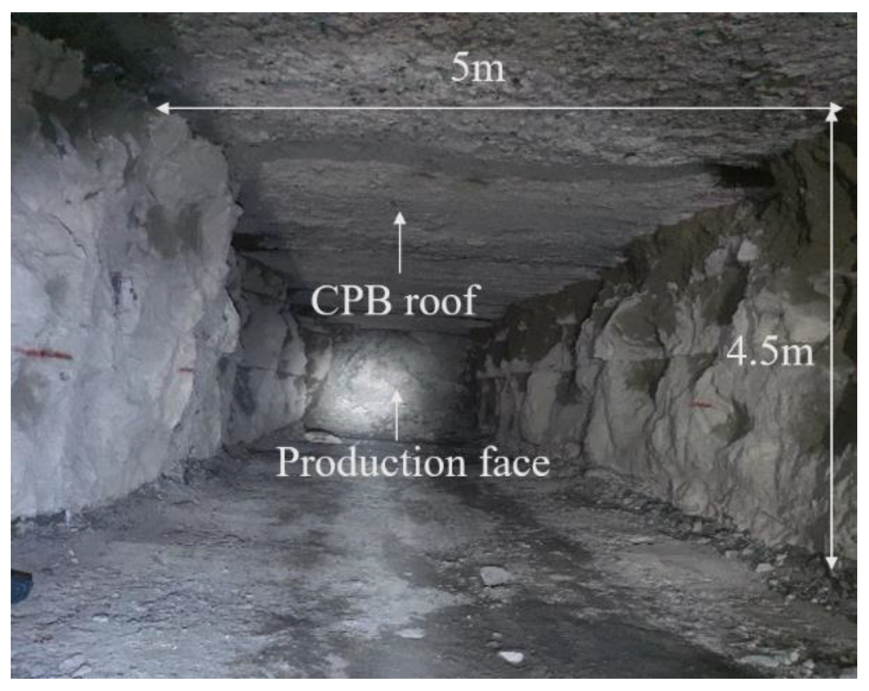 Force Analysis and Strength Determination of the Cemented Paste ...