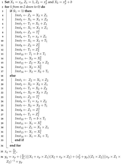 Large Field-Size Throughput/Area Accelerator for Elliptic-Curve Point Multiplication on FPGA