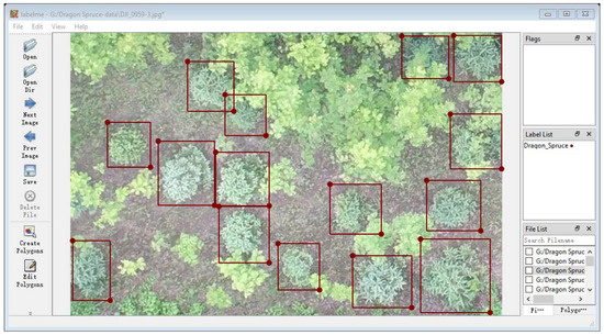 Tree Seedlings Detection And Counting Using A Deep Learning Algorithm