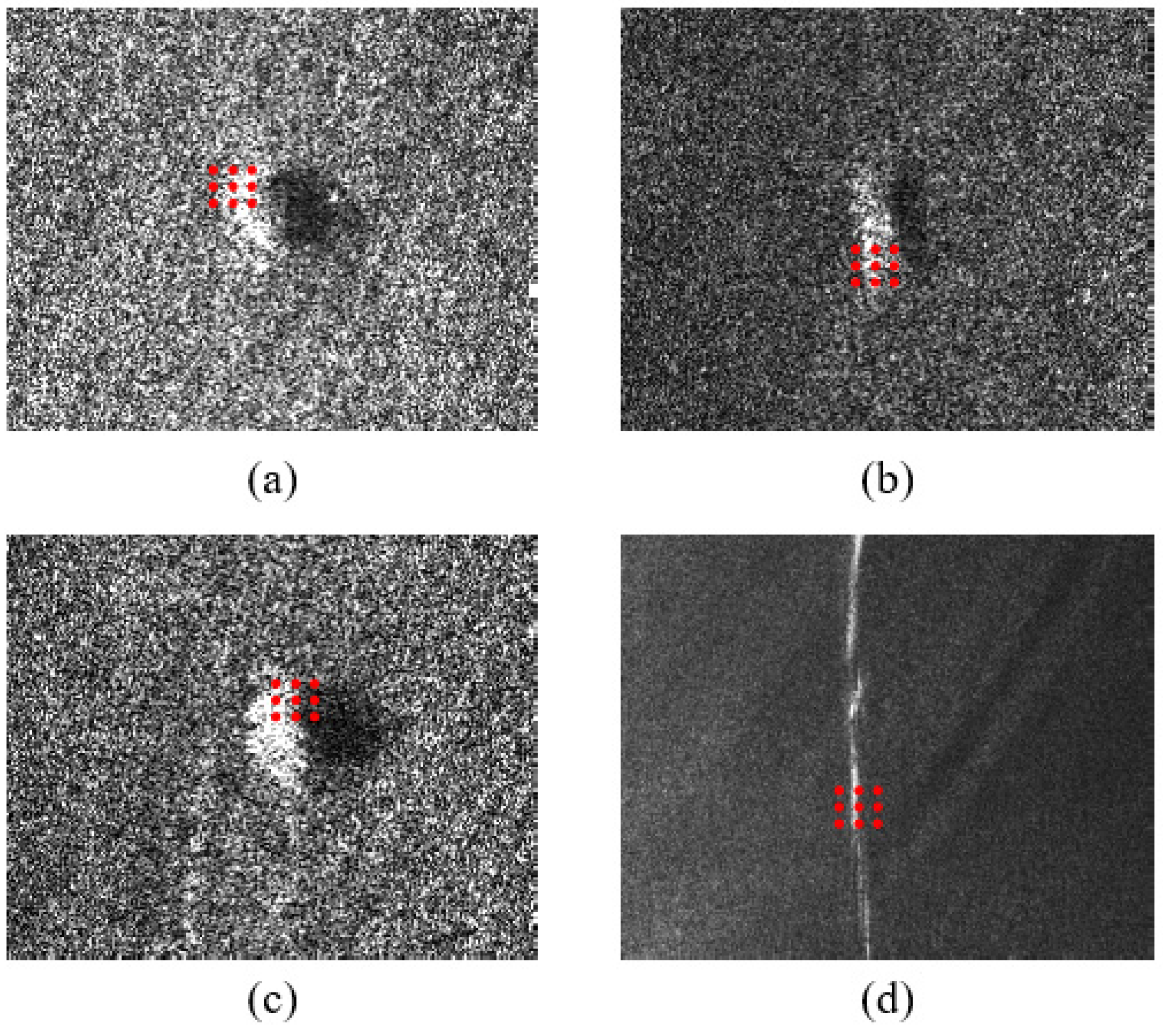 Underwater Object Classification in SAS Images Based on a Deformable ...
