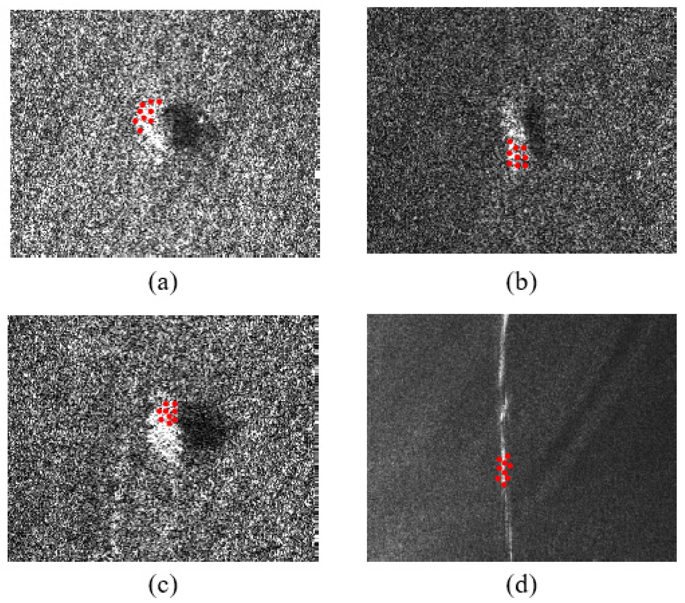 Underwater Object Classification in SAS Images Based on a Deformable ...