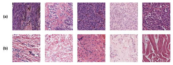 Federating Medical Deep Learning Models from Private Jupyter Notebooks ...