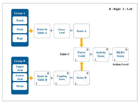 CREBAS: Computer-Based REBA Evaluation System for Wood Manufacturers ...