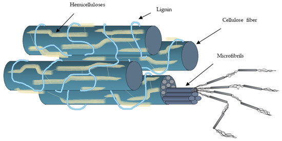 Biomass and Cellulose Dissolution—The Important Issue in Renewable ...
