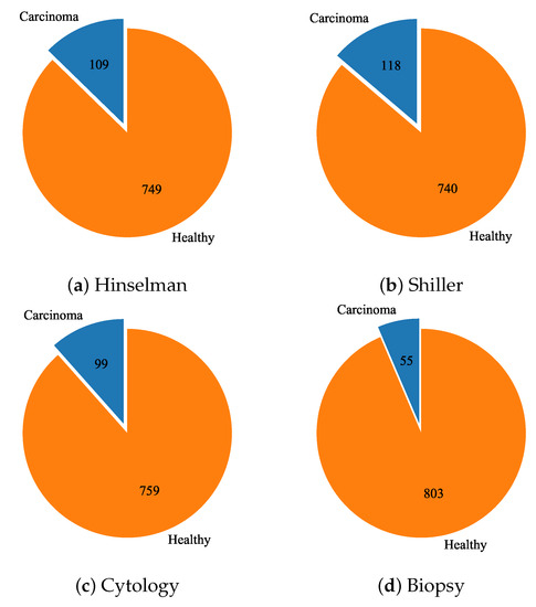 Cervical Cancer Diagnostics Using Machine Learning Algorithms and Class Balancing Techniques