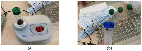 The Efficacy of Three Types of Disinfectants on the Microbial Flora ...
