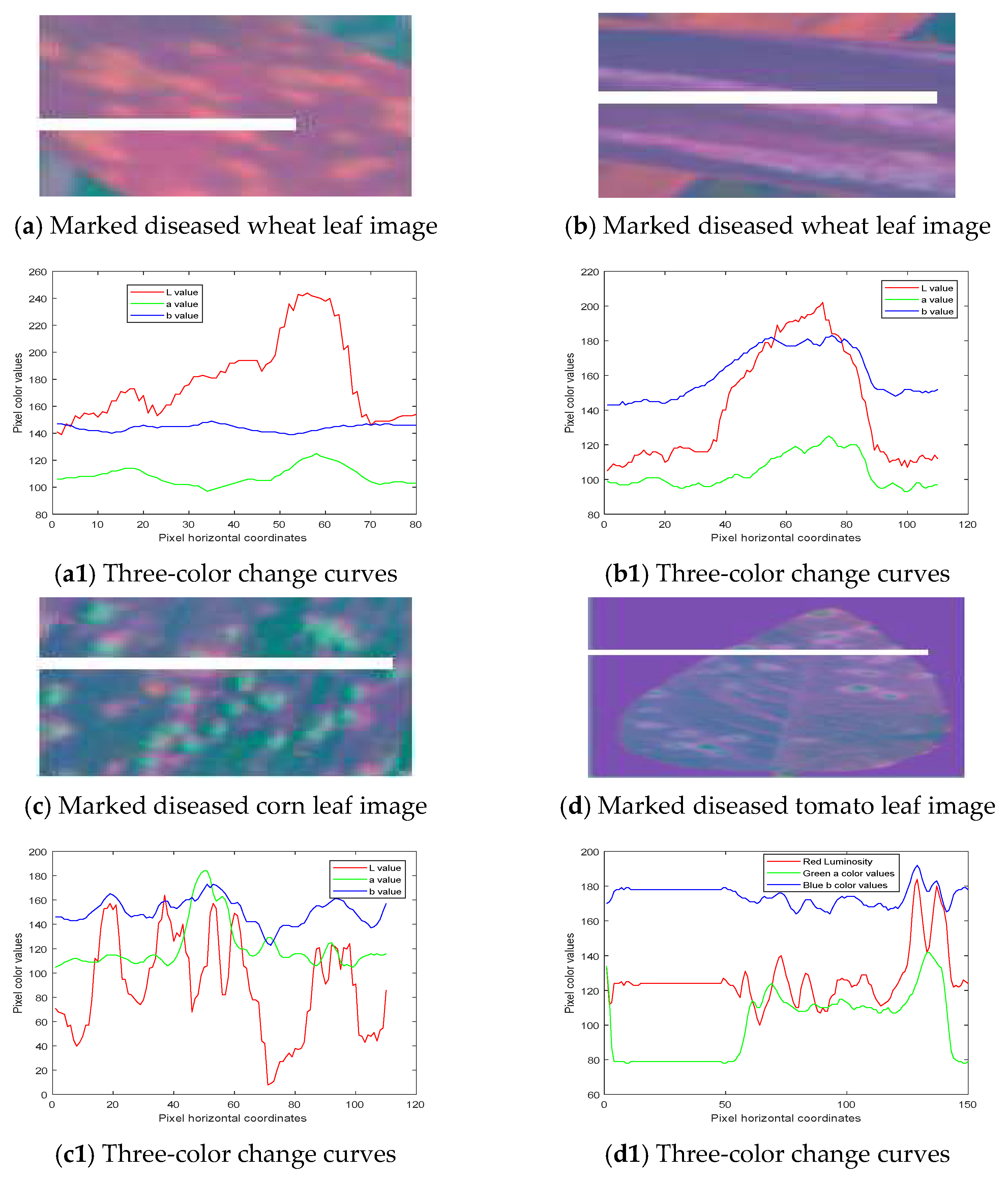 The Fast Detection of Crop Disease Leaves Based on Single-Channel Gravitational Kernel Density ...