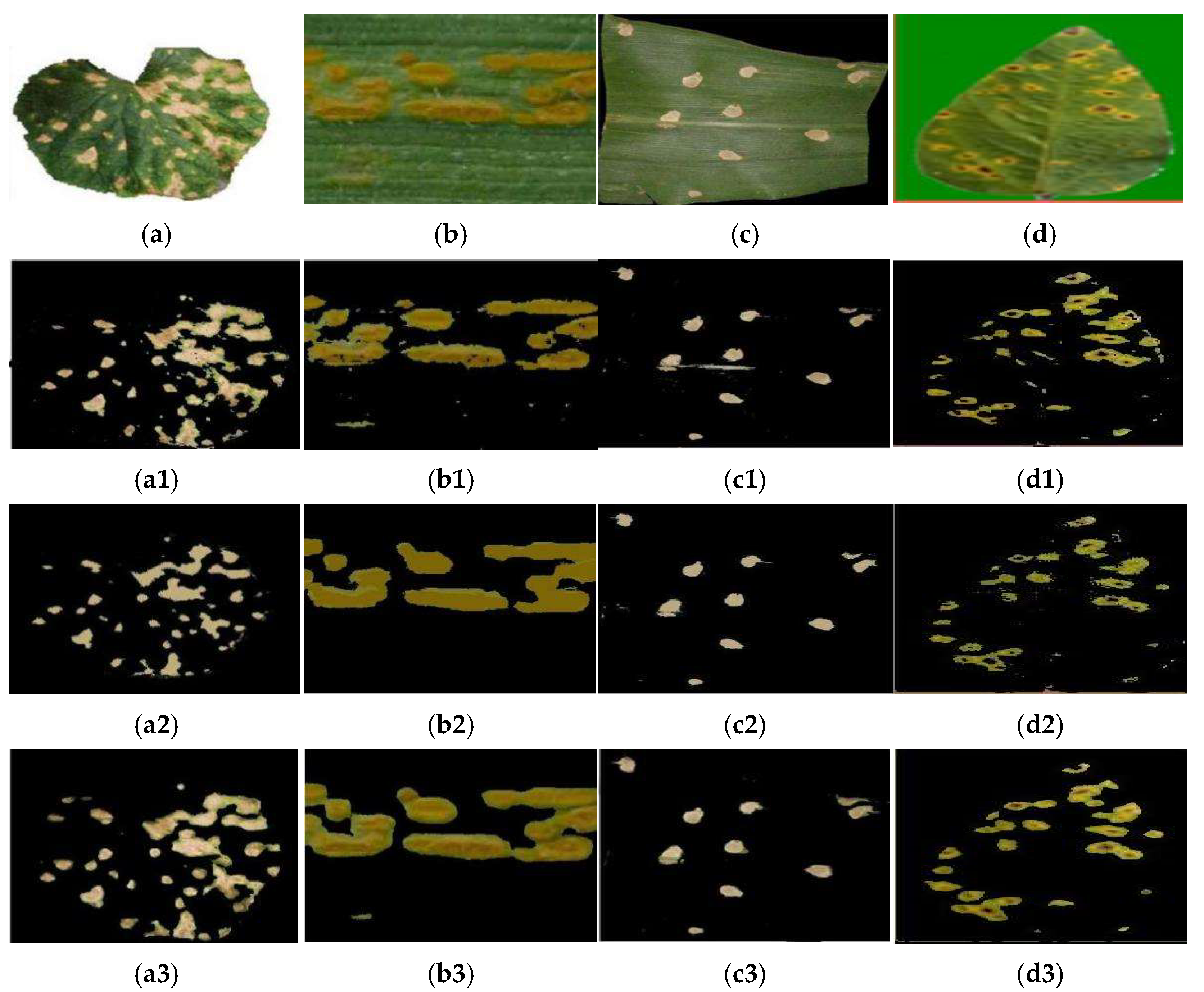 The Fast Detection of Crop Disease Leaves Based on Single-Channel ...