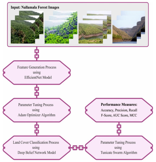 Tunicate Swarm Algorithm with Deep Learning Based Land Use and Cover Change Detection in ...
