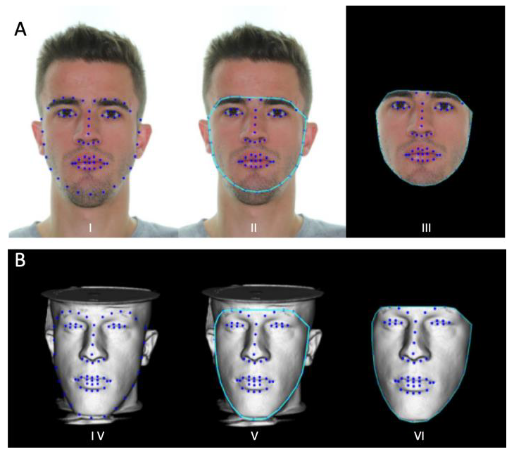 Realistic Facial Three-Dimensional Reconstruction from CT Images and 2D ...