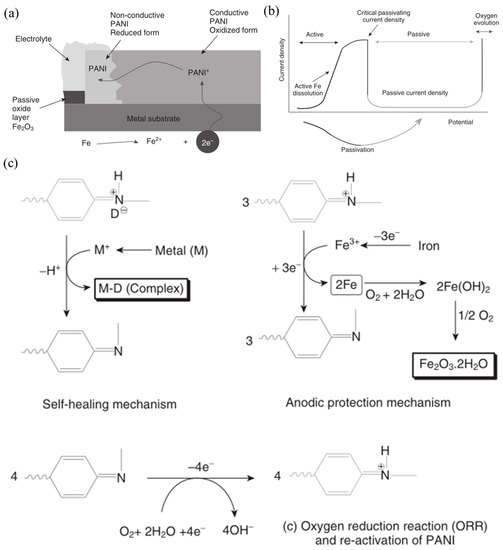Conductive Polymer and Nanoparticle-Promoted Polymer Hybrid Coatings ...