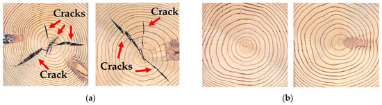Crack Severity Classification from Timber Cross-Sectional Images Using Convolutional Neural Network