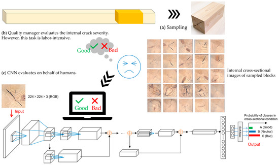 Crack Severity Classification from Timber Cross-Sectional Images Using ...