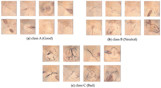 Crack Severity Classification from Timber Cross-Sectional Images Using Convolutional Neural Network