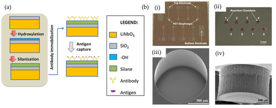 A Review of the Recent Advances in Piezoelectric Materials, Energy ...