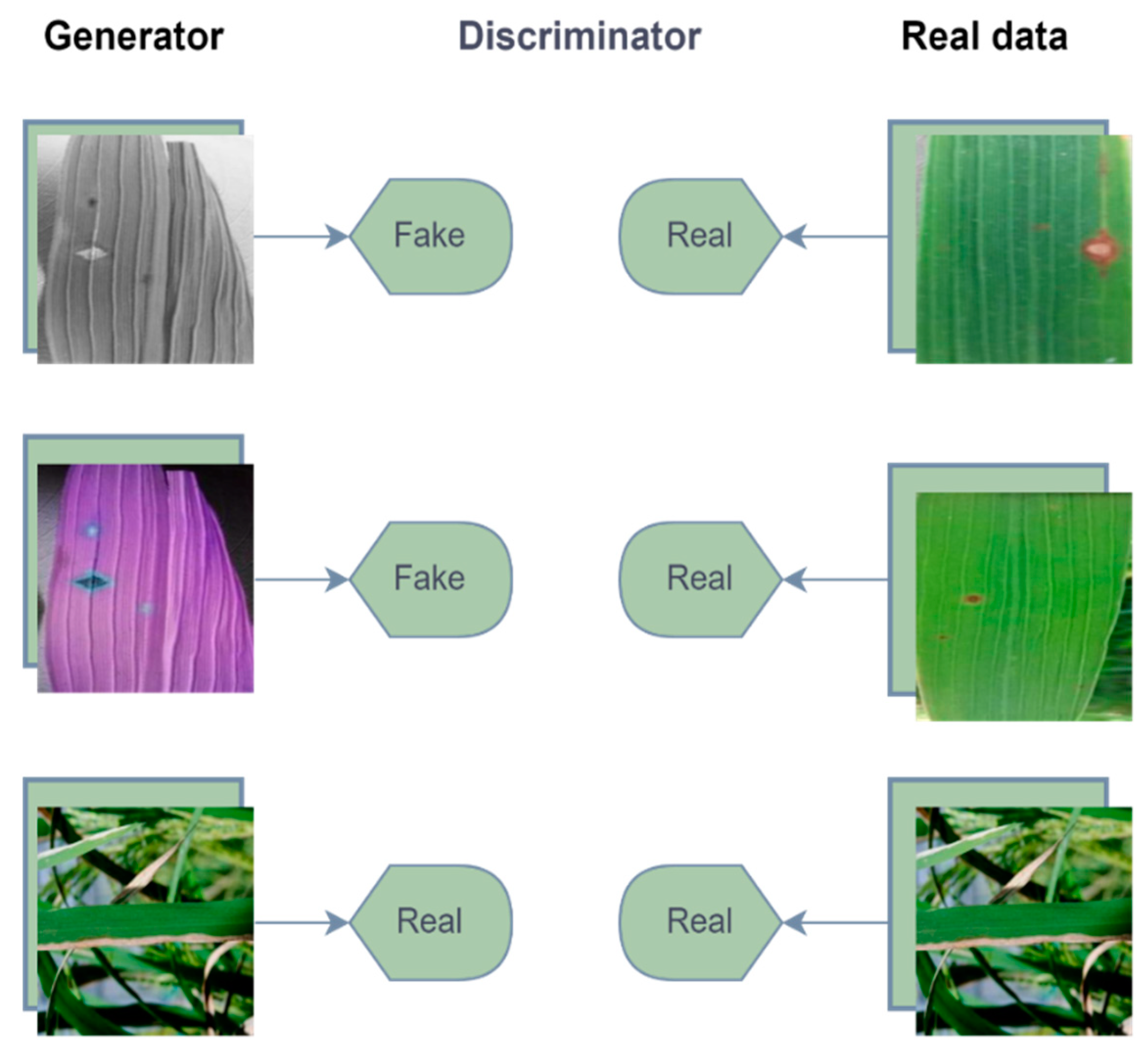 An Improved Approach to Detection of Rice Leaf Disease with GAN-Based Data Augmentation Pipeline