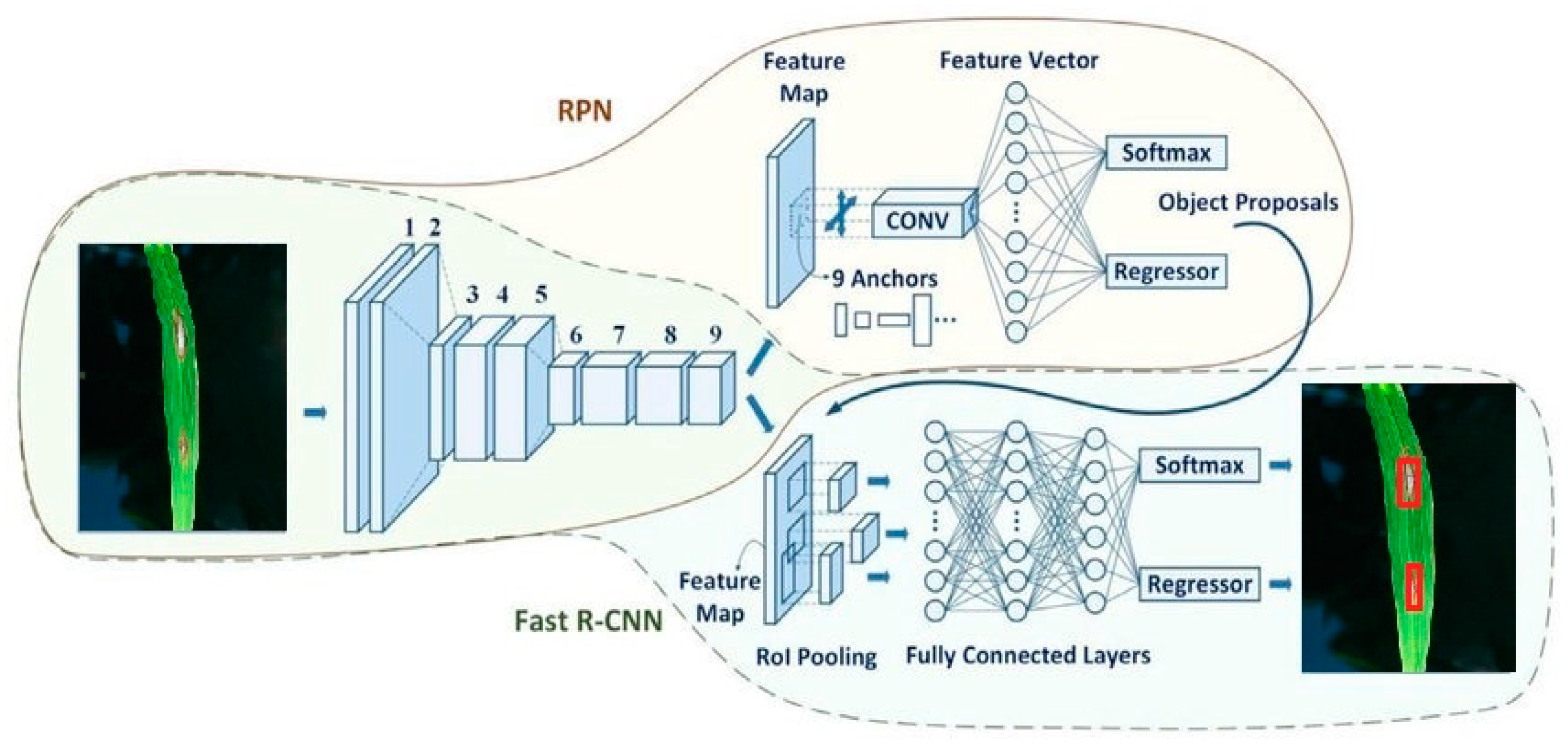 An Improved Approach to Detection of Rice Leaf Disease with GAN-Based Data Augmentation Pipeline