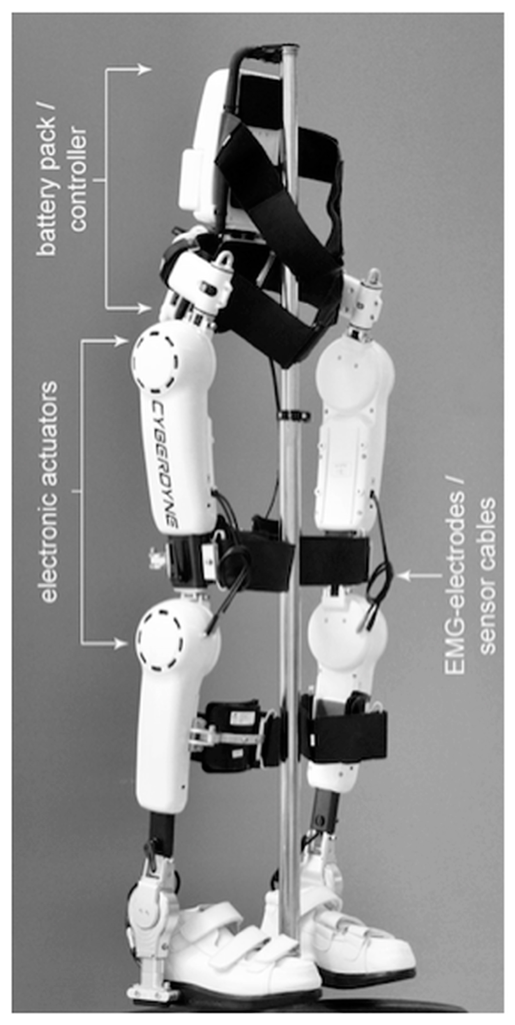 Applied Sciences | Free Full-Text | HAL Training in Spinal Cord Injured ... Applied Sciences | Free Full-Text | HAL Training in Spinal Cord Injured ...