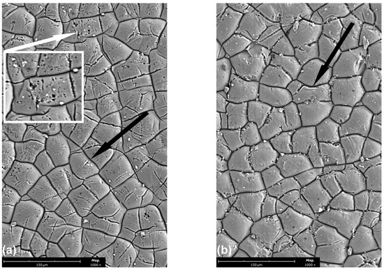 Influence of ZnO (Nano)Rods on the Dielectric Properties of DGEBF Epoxy ...