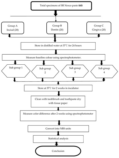 Evaluation of Color Stability of Composite Resin Used to Characterize ...