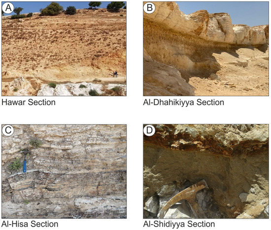 Paleoenvironmental Study of the Late Cretaceous–Eocene Tethyan Sea ...