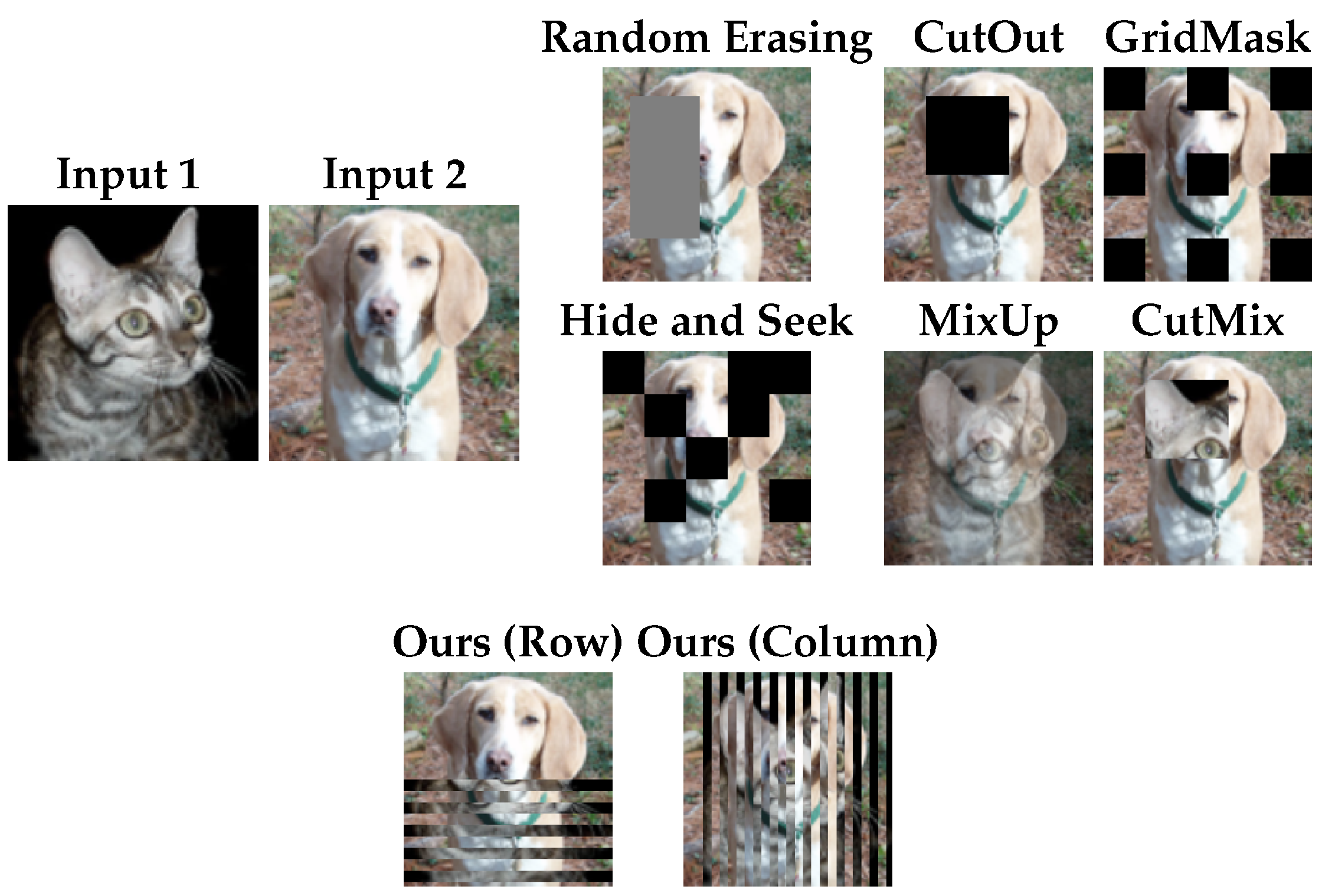 Data Augmentation In Computer Vision A Guide Blog Ai Exchange | Hot Sex ... Data Augmentation In Computer Vision A Guide Blog Ai Exchange | Hot Sex ...
