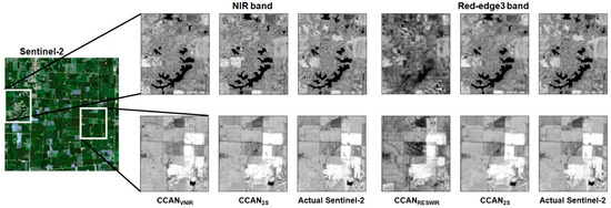 Deep Learning-Based Virtual Optical Image Generation and Its Application to Early Crop Mapping