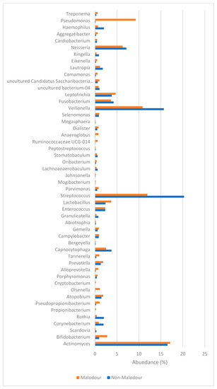 Polymethylmethacrylate (PMMA) Hosts Microbiome Associated with Oral Malodor