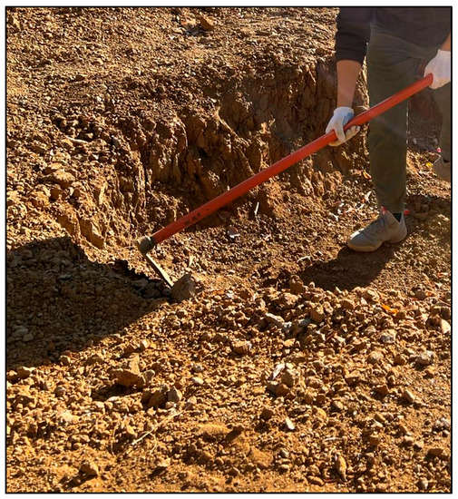 Study on Microstructure of Cemented Organic Soil in Dianchi Lake, China