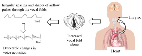 Acoustic Voice and Speech Biomarkers of Treatment Status during ...