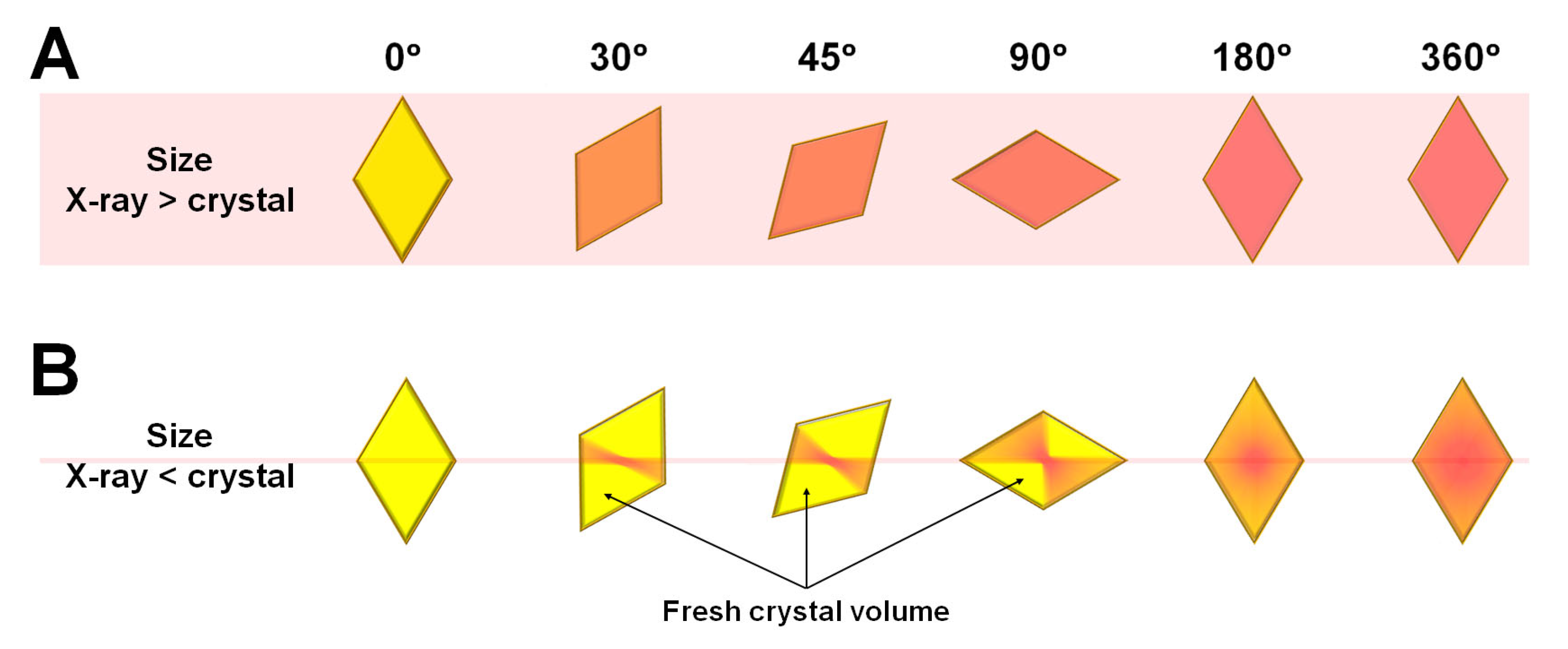 Radiation Damage on Thaumatin: A Case Study of Crystals That Are Larger ...