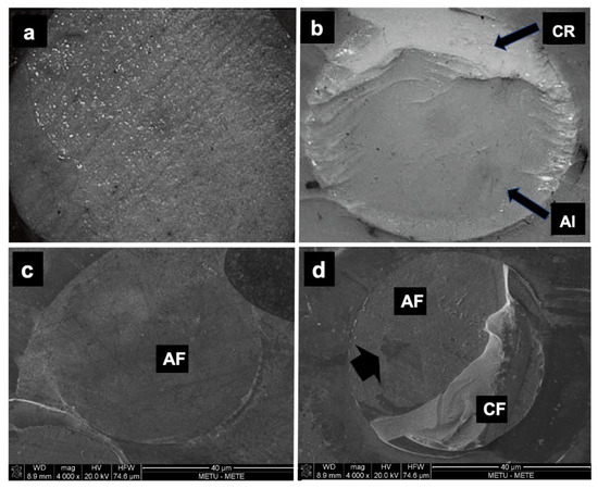 Surface Gloss, Radiopacity and Shear Bond Strength of Contemporary ...