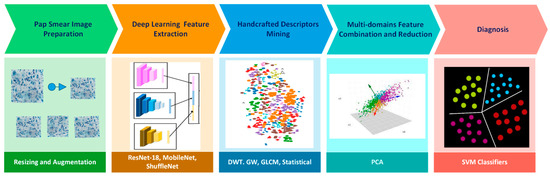 Cervical Cancer Diagnosis Based on Multi-Domain Features Using Deep ...