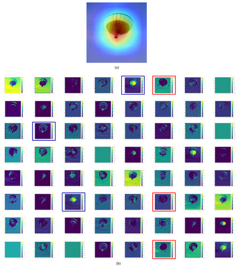 Filter Pruning via Attention Consistency on Feature Maps