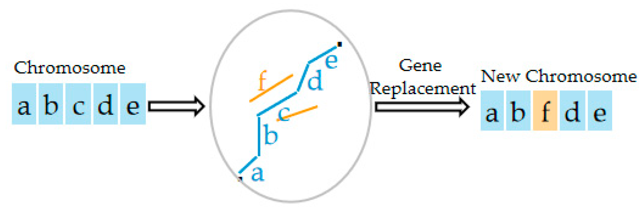 Applied Sciences | Free Full-Text | Modelling and Optimization of ...