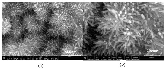 Template-Free Synthesis of One-Dimensional SnO2 Nanostructures Using ...