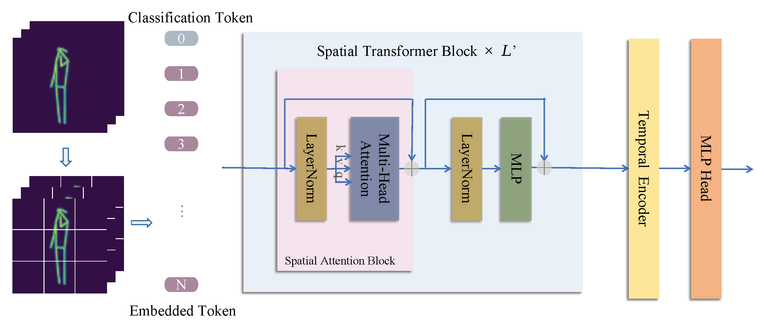 Applied Sciences | Free Full-Text | A Novel Two-Stream Transformer-Based Framework for Multi ...