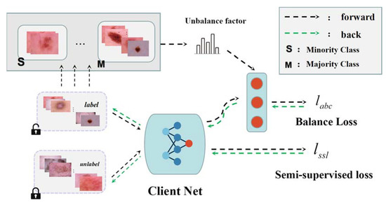 Class Imbalanced Medical Image Classification Based on Semi-Supervised ...